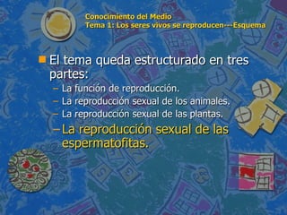 Conocimiento del Medio 6º de Primaria----Tema 1:Los seres vivos se ...