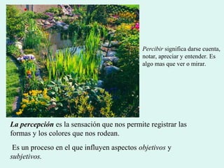 Tema 1 percepción y lectura de imágenes | PPT