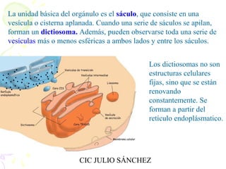 Tema 10 biologia | PPT