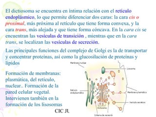 Tema 10 biologia | PPT