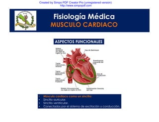 Tema 10 Musculo cardiaco.pdf