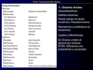 Principales Grupos Bacterianos | PPT