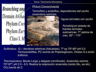Principales Grupos Bacterianos | PPT