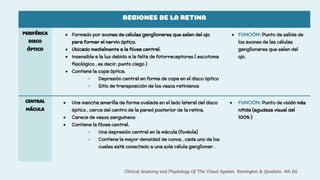 Tema 10 RETINA aborde en cirugia de la retina anatomia y fisiologia | PDF