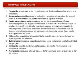 Tema 12 hormonas vegetales | PPTX