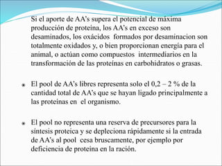 TEMA 12 Y 13.ppt PROTEINAS METABOLISMO.. | PPT