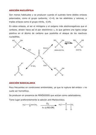 Tema 13 resumen | PDF