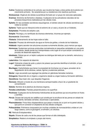 Tema14-Estructuras glandulares- Hipertextos de Botánica Morfológica www ...