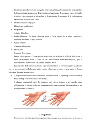 Region de la Mano | ODT