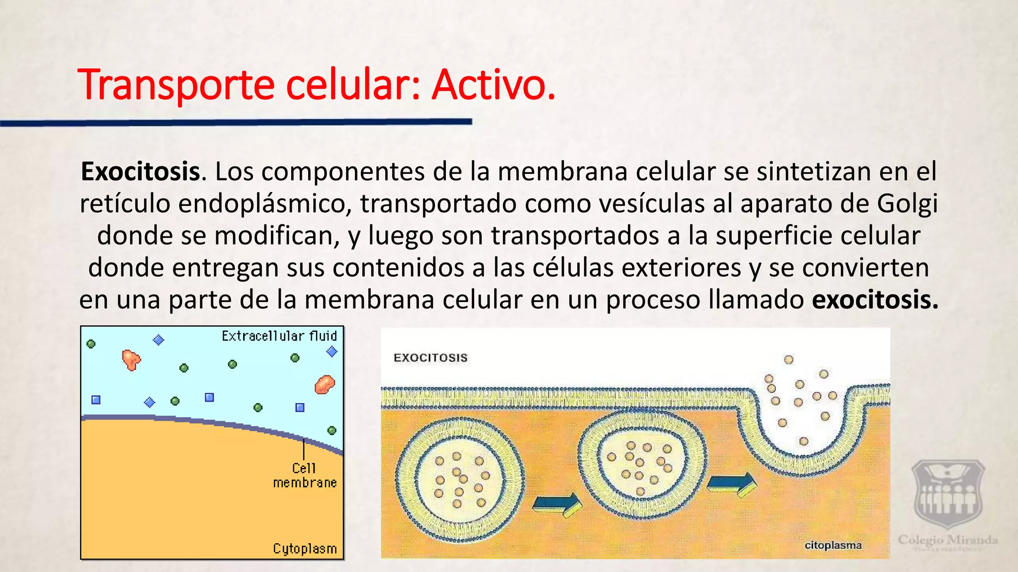 Procesos celulares. | PPT