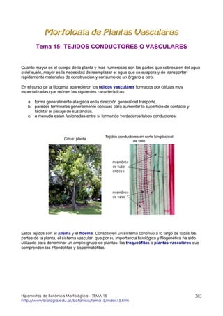 Tema15- Xilema- Hipertextos de Botánica Morfológica www.biologia.edu.ar