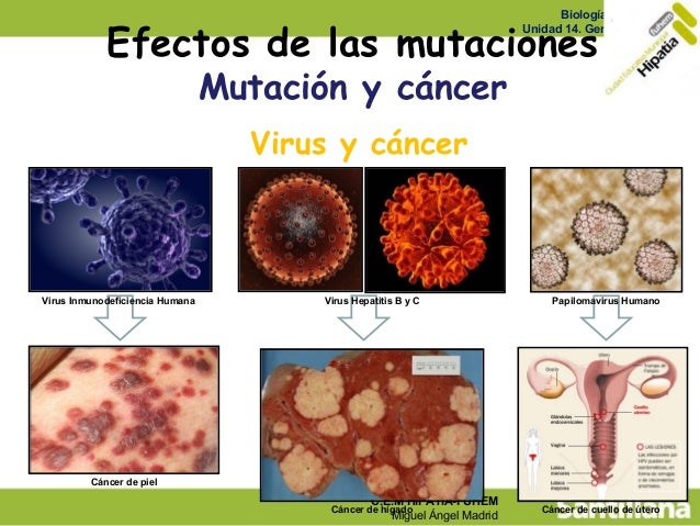 Tema 15. mutaciones