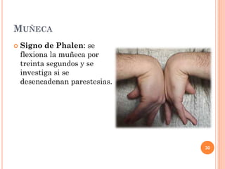 tema 15 semiologia osteomuscular.pdf