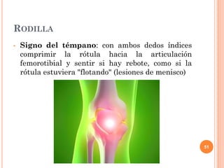 tema 15 semiologia osteomuscular.pdf