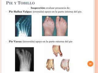 tema 15 semiologia osteomuscular.pdf