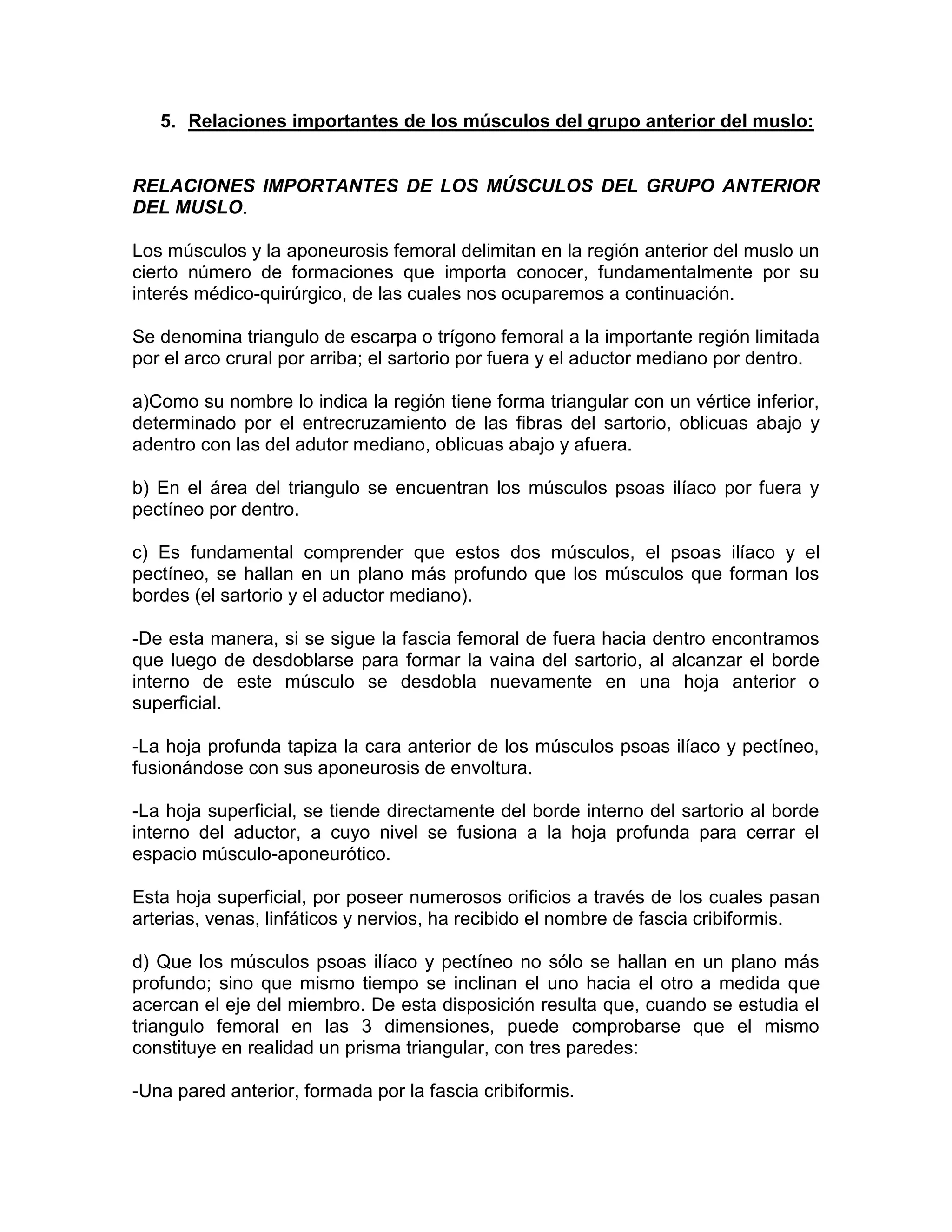 Musculos del Muslo | DOC