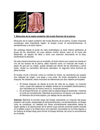 Musculos del Muslo | DOC