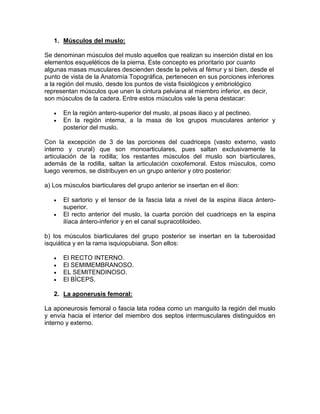 Musculos del Muslo | DOC