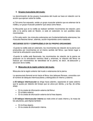 Musculos del Muslo | DOC