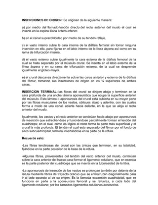 Musculos del Muslo | DOC