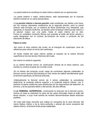 Musculos del Muslo | PDF