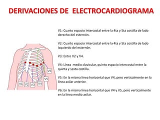 Anatomía y Fisiología del Corazón | PPTX
