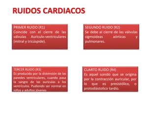 Anatomía y Fisiología del Corazón | PPTX