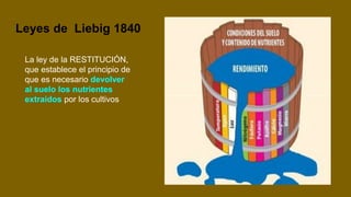 Tema 1B1_ Elementos esenciales para las plantas.pptx | Descarga Gratuita