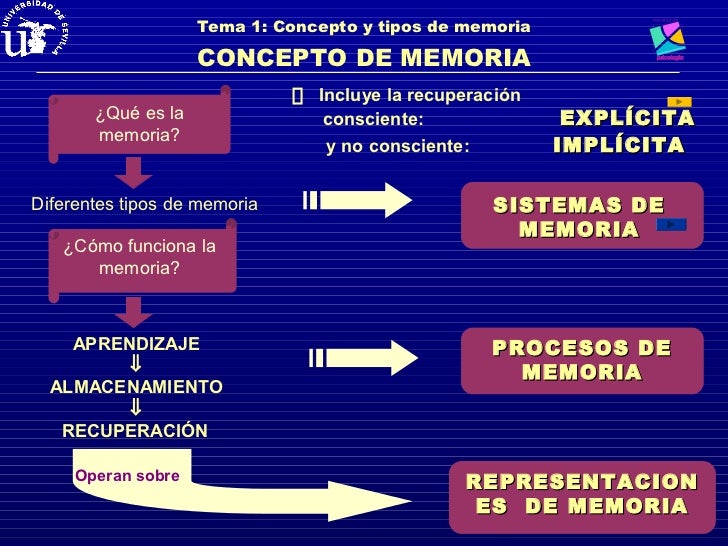 Memoria Implícita: Definición, Tipos Y Clasificación – PLLTOQ