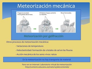 Tema 1 EL SUELO AGRÍCOLA | PPTX