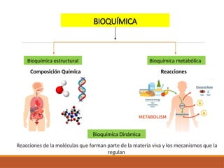 TEMA 1 ESTUDIO DE LA BIOQUÍMICA DINÁMICA rr.pptx