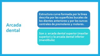 TEMA 1 INTRODUCCIÓN Y GENERALIDADES DE LA DENTICIÓN.pptx