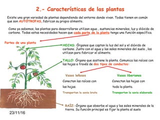 Tema 1 "Las plantas" | PPT