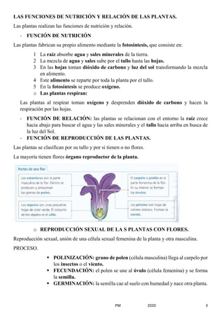 Tema 1 los seres vivos resumen esquema | PDF