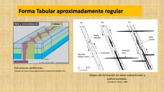 Cuerpos mineralizados discordantes de forma tabular y de forma aproxi…