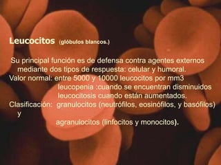 Hematopoyesis | PPTX