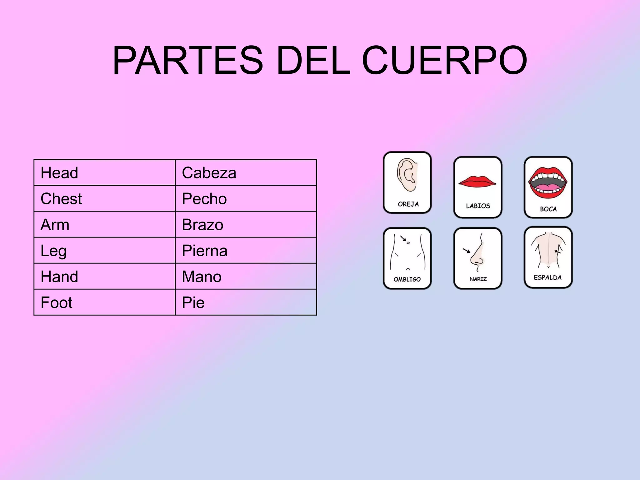 LAS PARTES DEL CUERPO | PPT