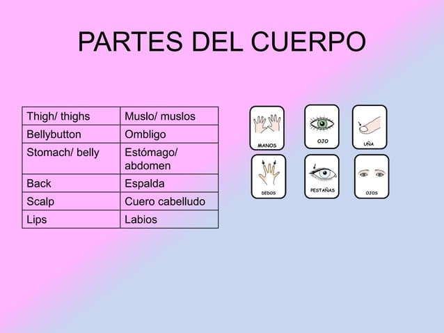 LAS PARTES DEL CUERPO | PPT