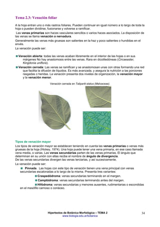Tema2-Morfología externa de Hoja - Hipertextos de Botánica Morfológica ...