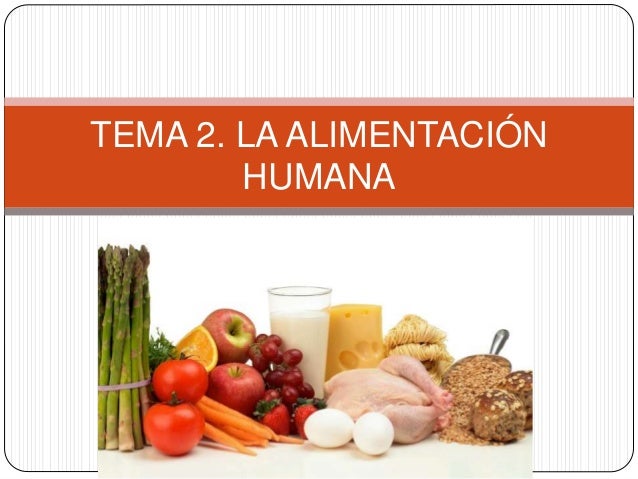 Evolucin De La Nutricin Y Alimentacin Timeline