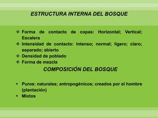 Clasificacion del bosque | PPTX
