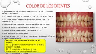Tema 2. los dientes consideraciones generales | PPTX