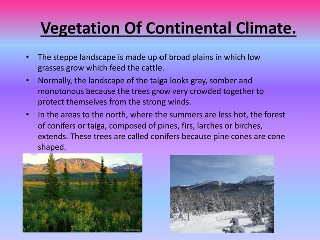 The landscapes of the earth | PPTX | Weather | Science