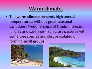 The landscapes of the earth | PPTX