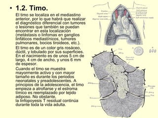 Tema 2. Citología General: ganglios linfáticos, bazo, timo, piel ...
