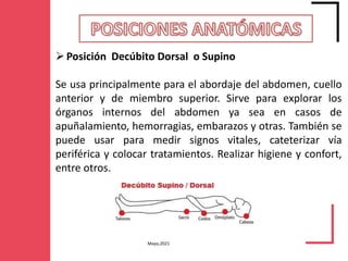 Tema 2. El cuerpo humano | PPTX