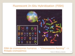 mitosis y meiosis reproducción celular de los organismos | PPT