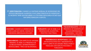 TEMA 2. SEMIOLOGIA RESPIRATORIA.pptx DESCRIBE LOS SIGNOS Y SINTOMAS DEL ...
