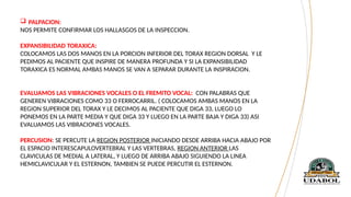 TEMA 2. SEMIOLOGIA RESPIRATORIA.pptx DESCRIBE LOS SIGNOS Y SINTOMAS DEL ...