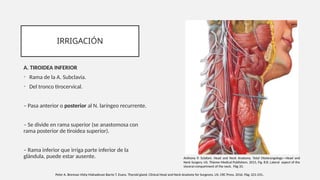 TEMA 20 ANATOMIA Y FISIOLOGIA DE GLANDULA TIROIDES Y PARATIROIDES 2020.pptx
